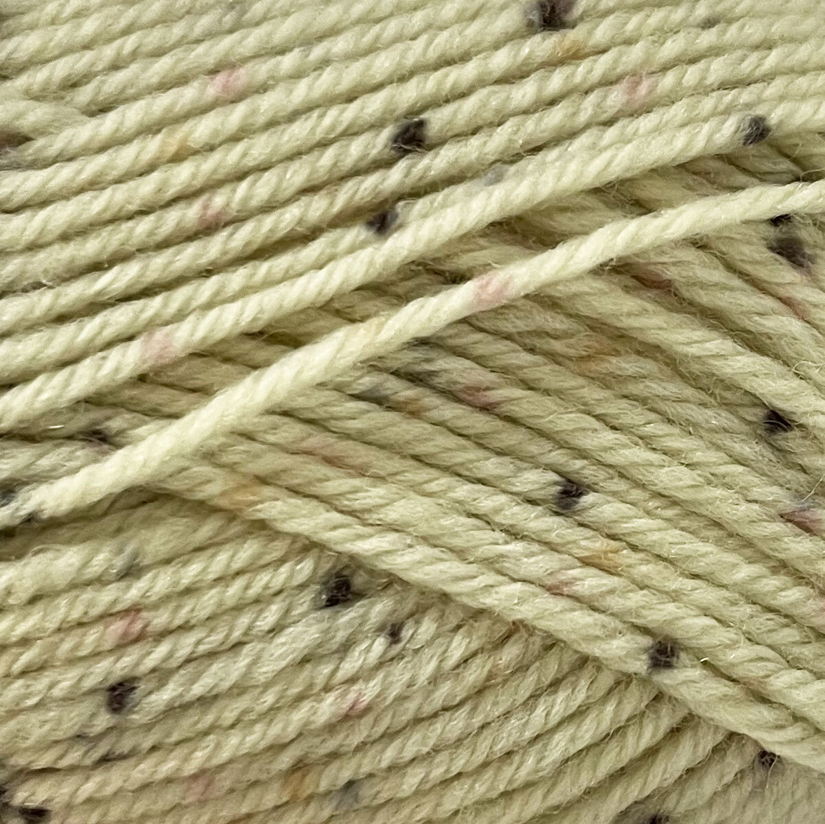 Naturally Loyal Vegas Tweed 8Ply/DK 31752